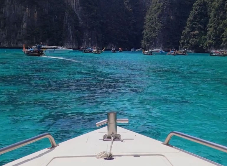 Safe Sail Vetting Services - Wilsonhalligan